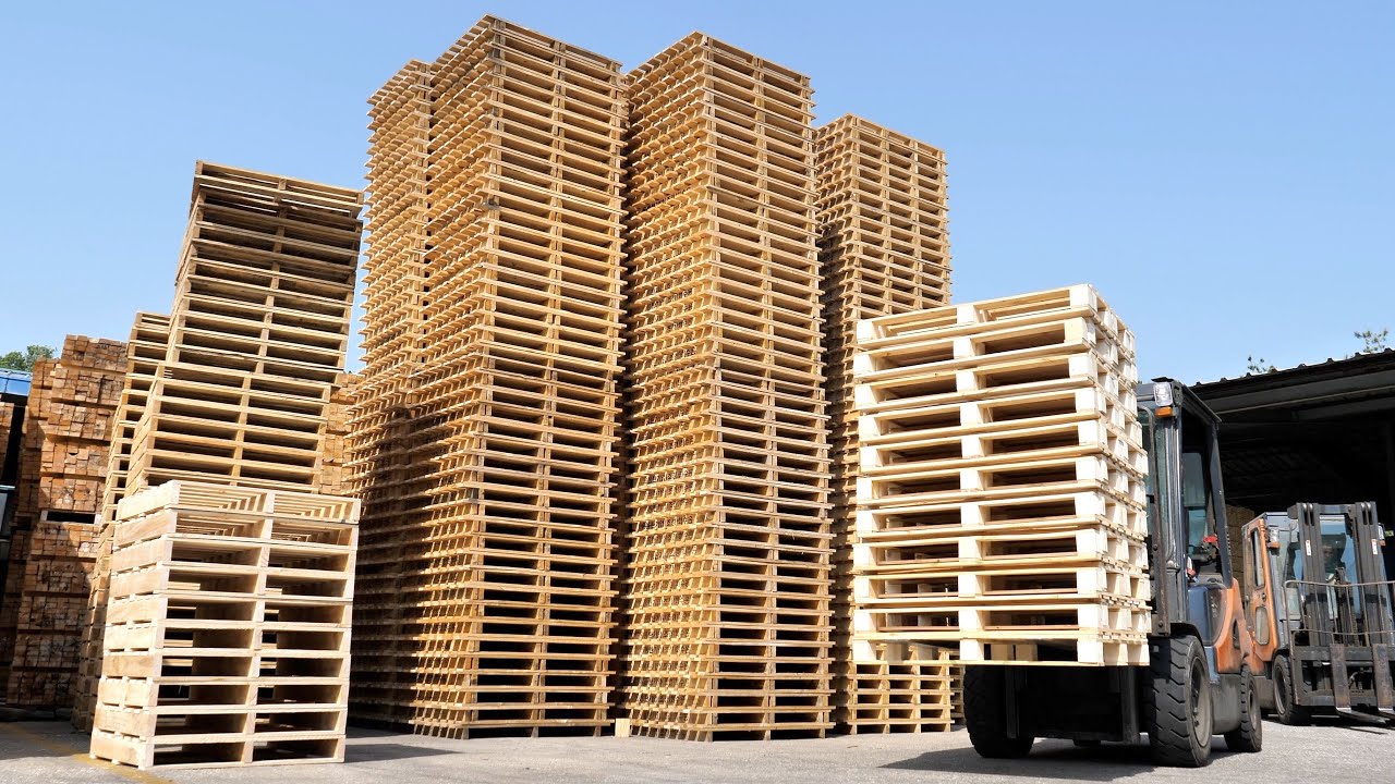 The process of mass-producing wooden pallets from giant trees. Pallet factory in Korea - YouTube