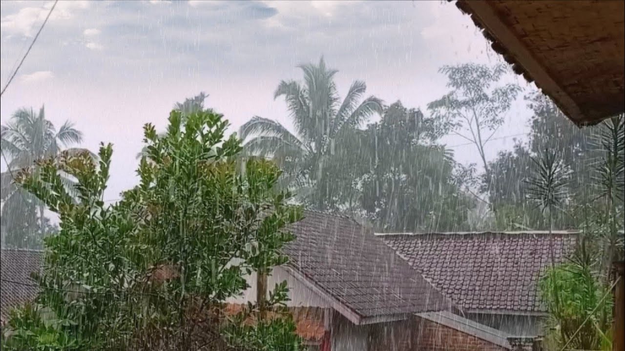 "The Most Comforting Rain Sound for Sleeping — Many Fall Asleep ...