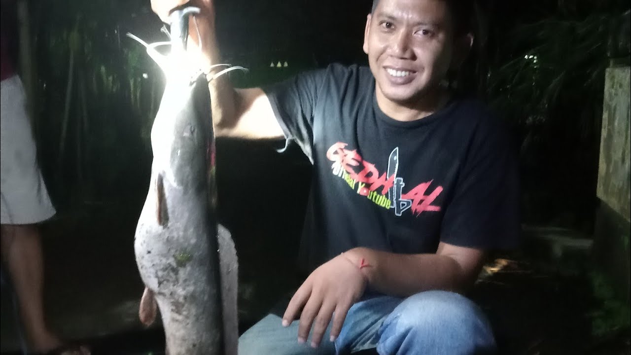 Mancing malam disungai dapat lele babon - YouTube
