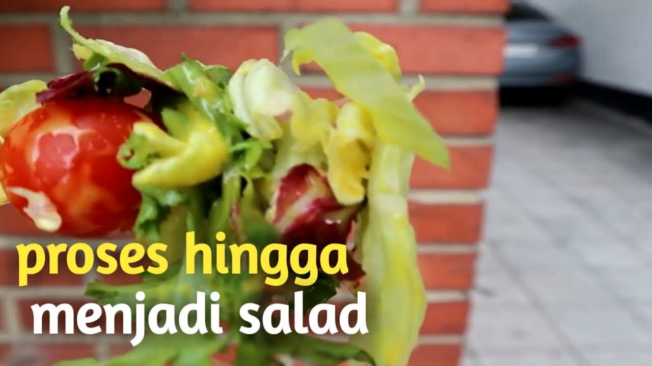Proses hingga menjadi salad - YouTube