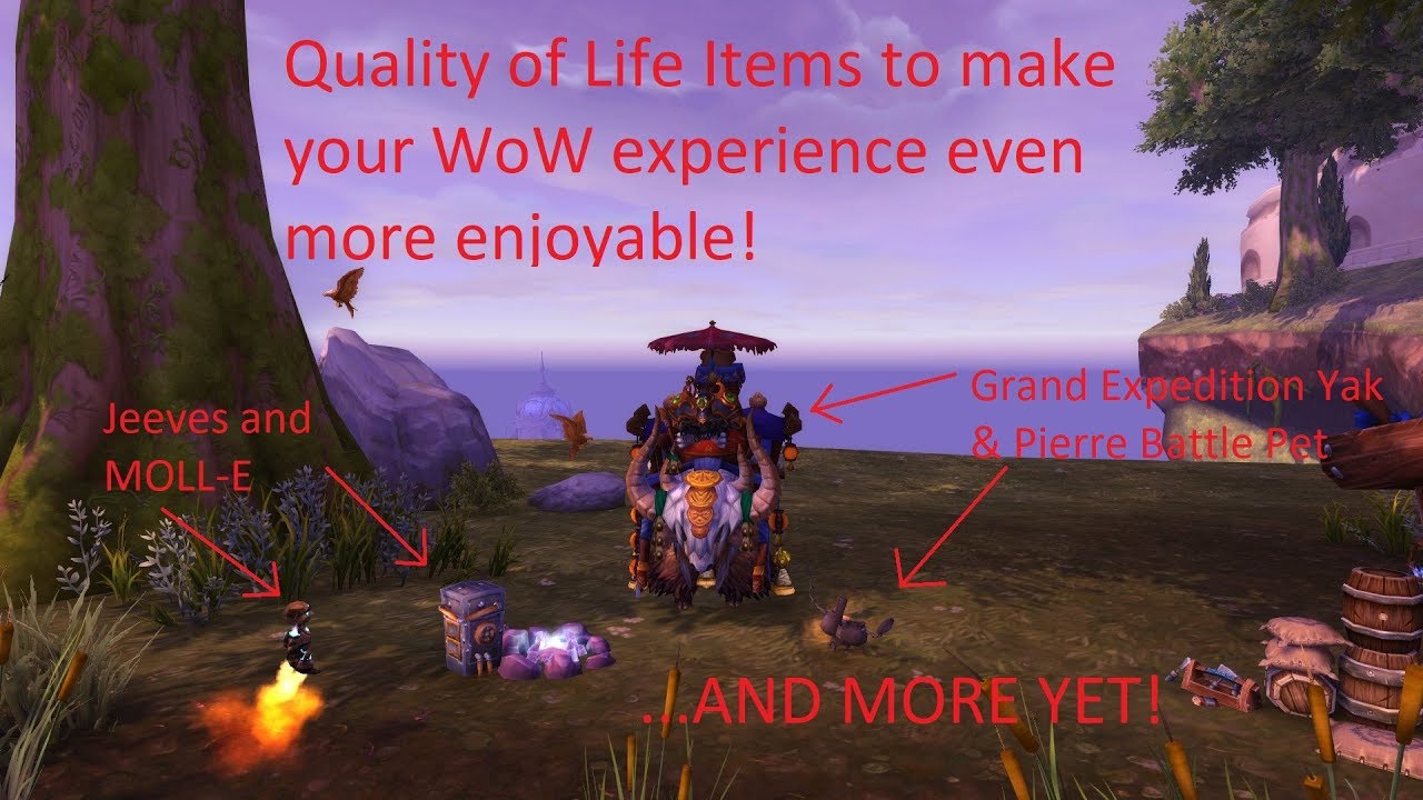 Awesome Quality of Life items for World of WarCraft - YouTube