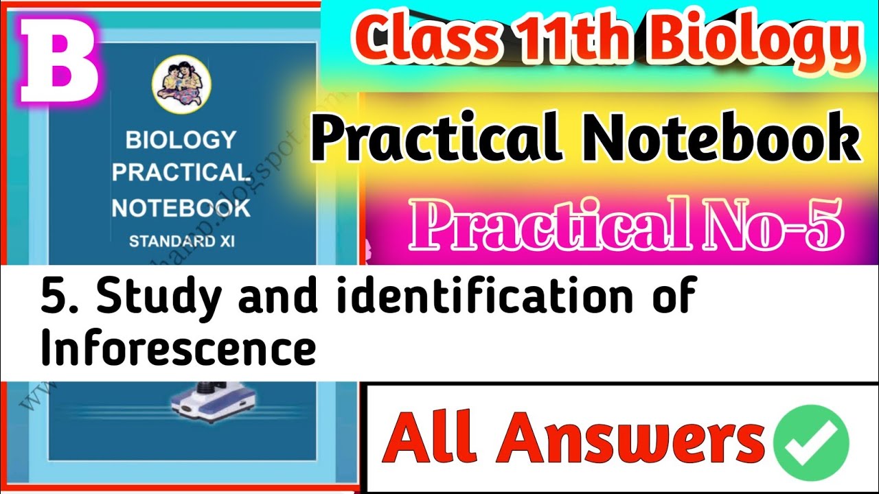 Class 11th Biology Practical Notebook|| B) 5) Study And Identification ...