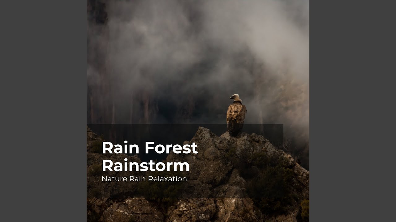 Introspective Nature - YouTube