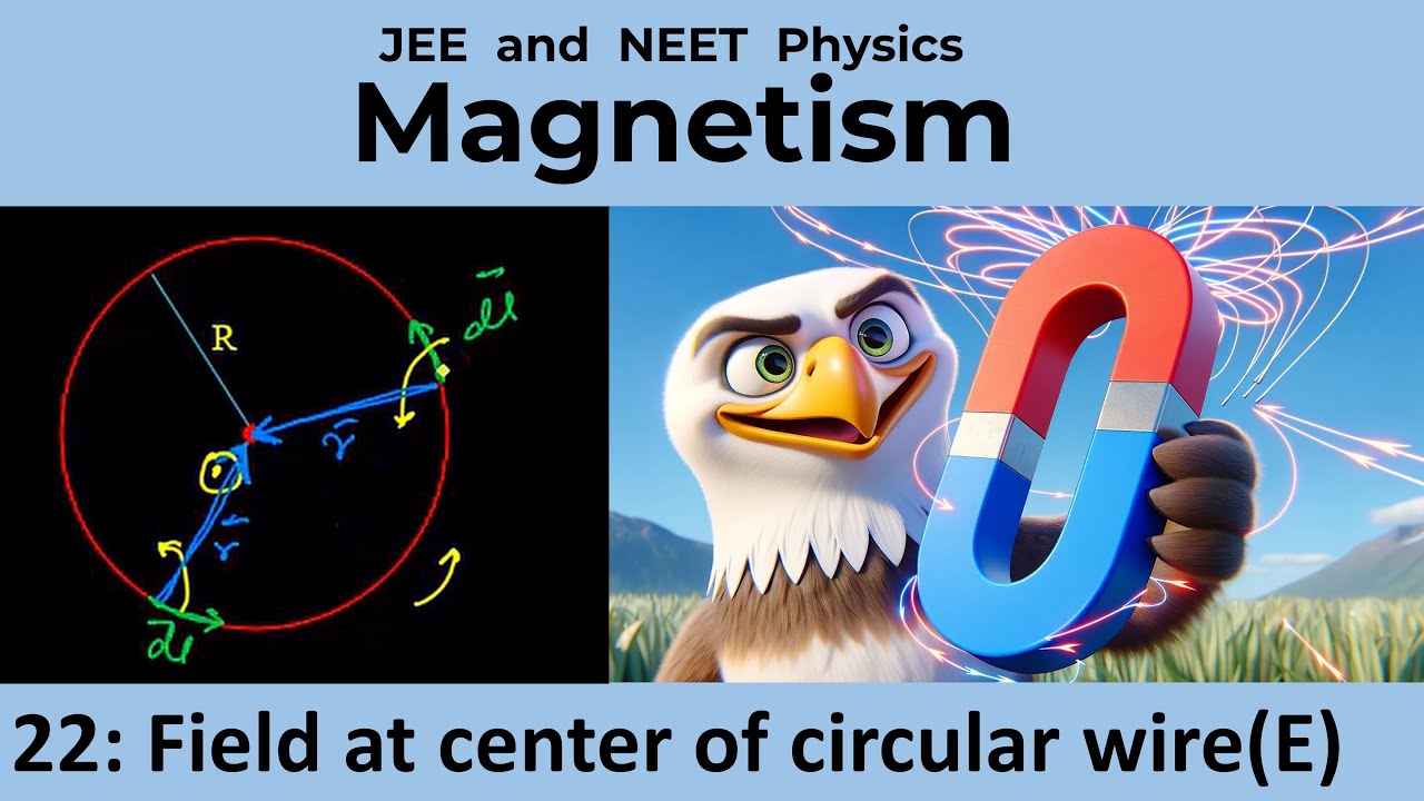 22. Magnetism | Magnetic field due to circular wire loop - Example ...