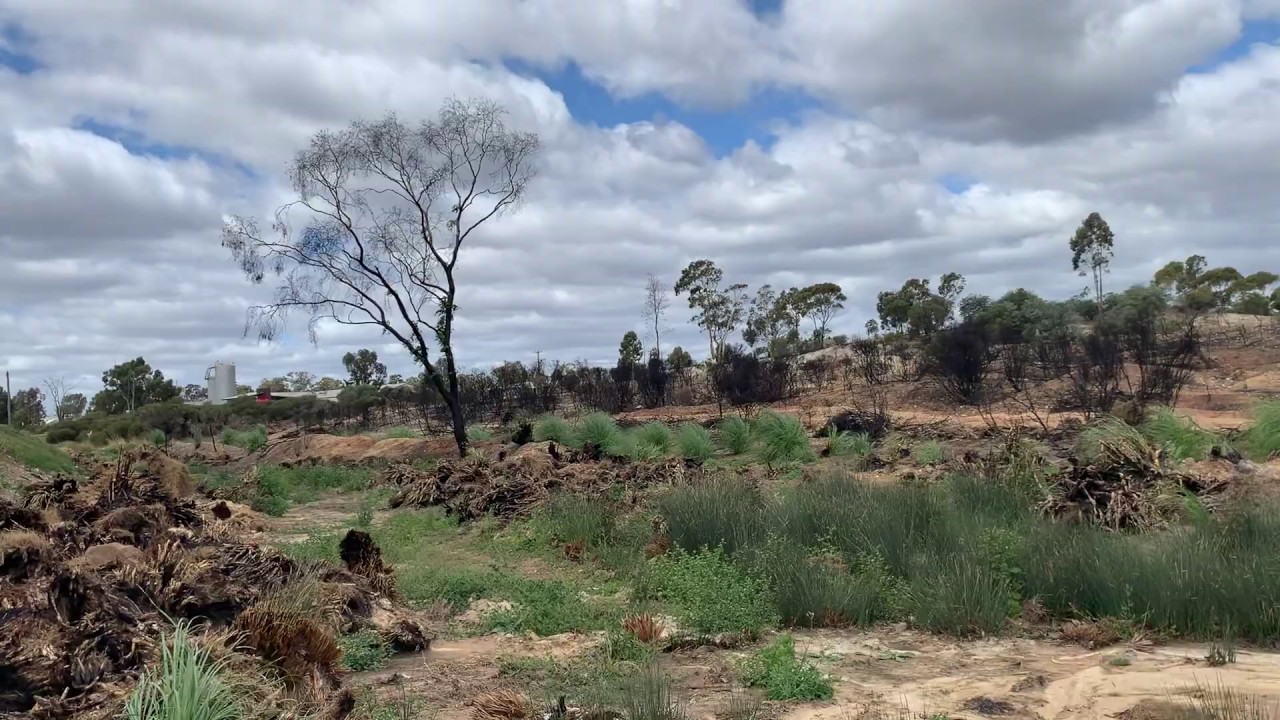 Black Summer Fires, Bendigo Bobs/Murphy St Bendigo Fire 2019/2020 - YouTube