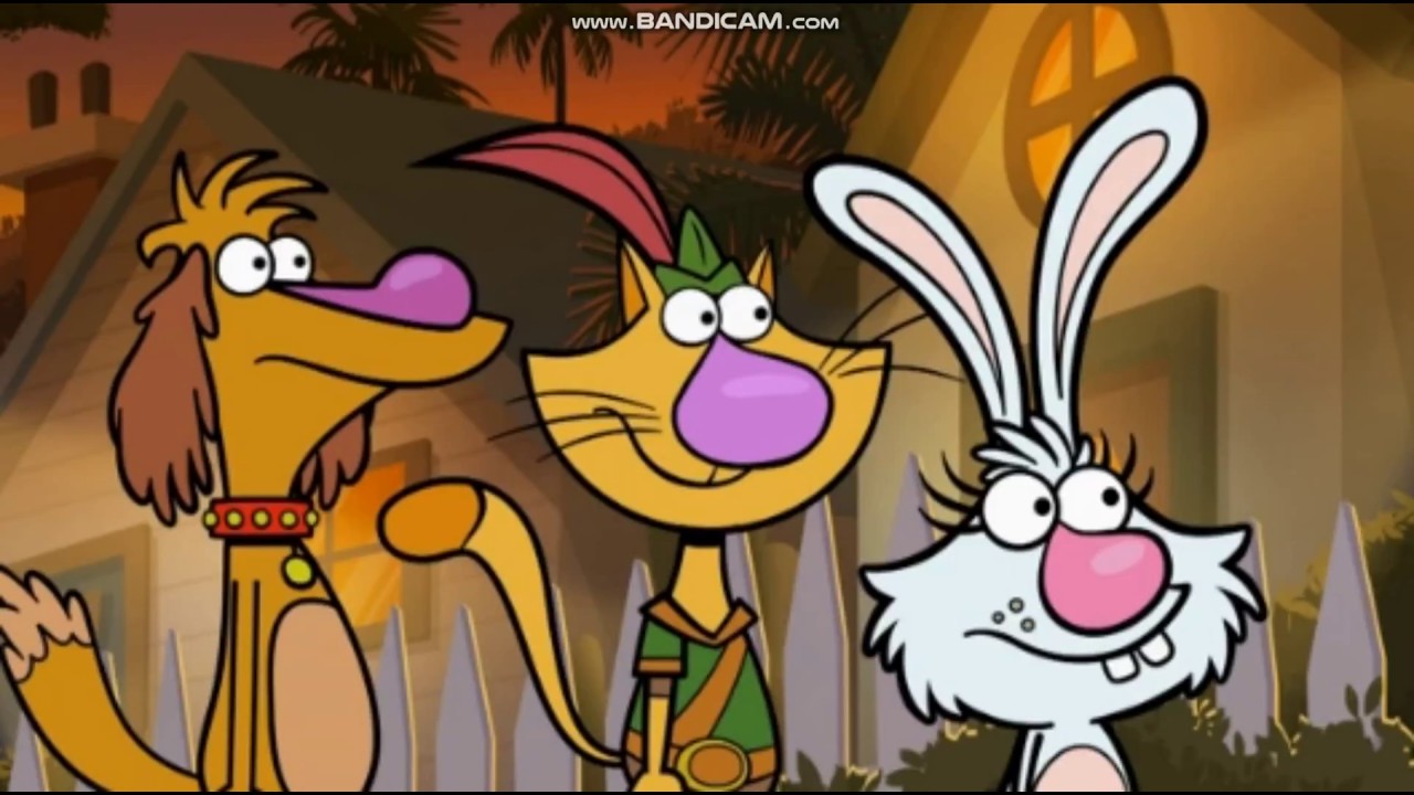 Nature Cat Lights Out For Sea Turtles Part 1 - YouTube