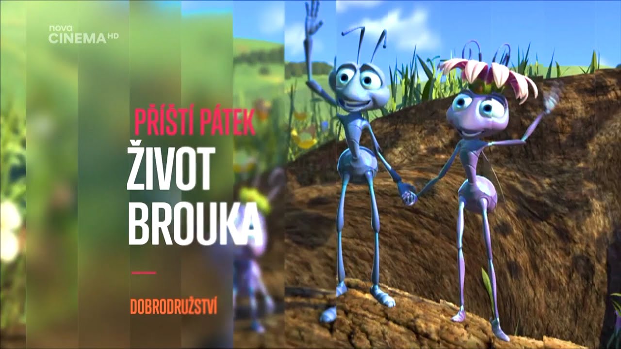 Život brouka - Nova Cinema / červenec 2020 (česky) - YouTube
