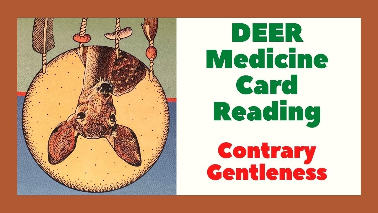 Deer Medicine Card Reading - Contrary Gentleness | Native American ...