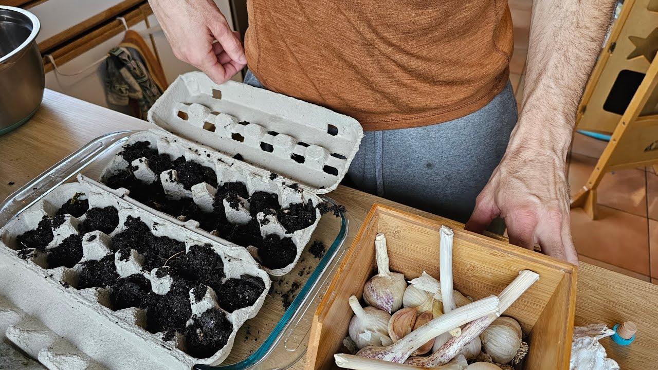 Garlic Dance - YouTube