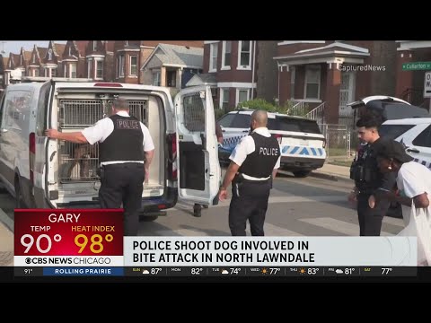 Chicago police shoot dog who attacked teen girl, woman on West Side