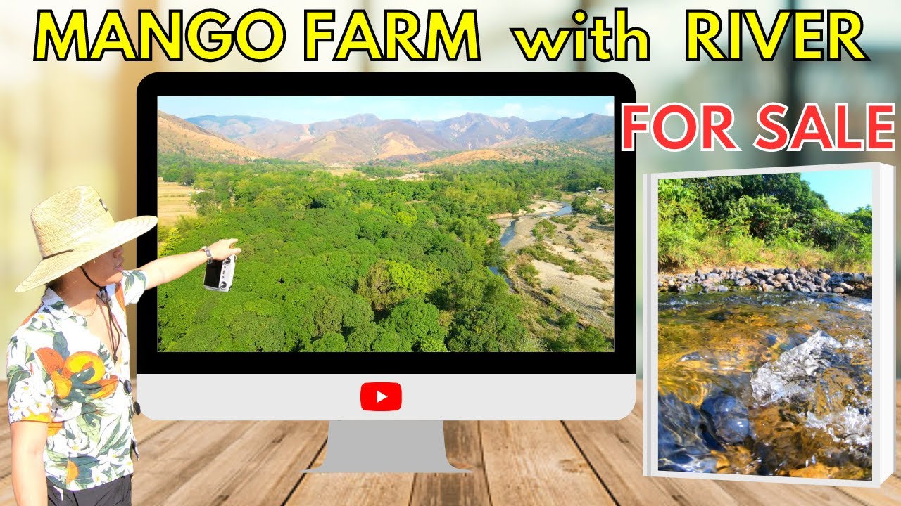 LFS 95 | (50+) MANGO TREES FARM LOT WITH RIVER FOR SALE IN THE ...