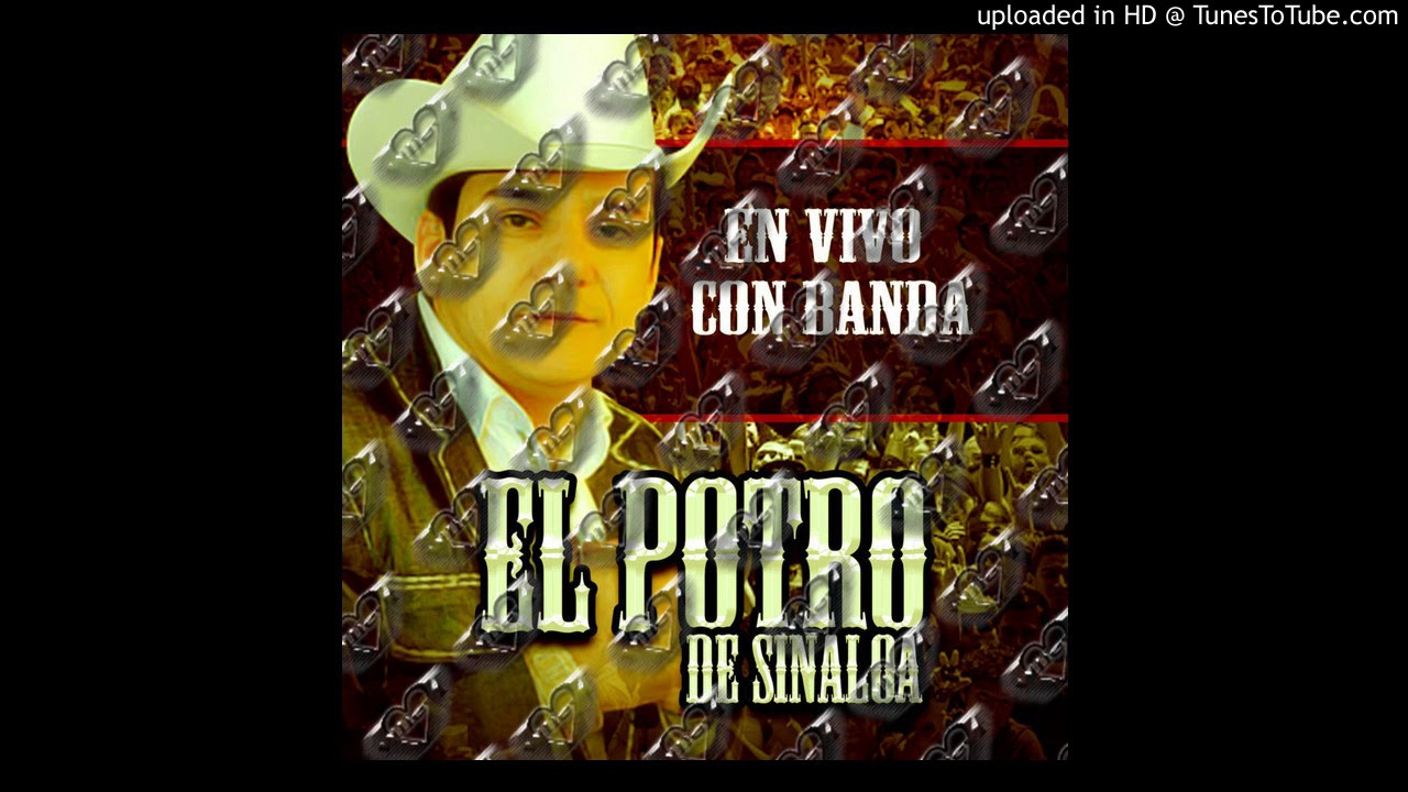 El Potro De SInaloa Cariño Donde Andarás - YouTube