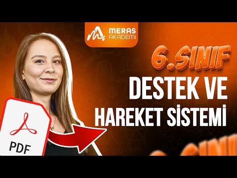 DESTEK VE HAREKET SİSTEMİ | 6. Sınıf Fen Bilimleri | 2025