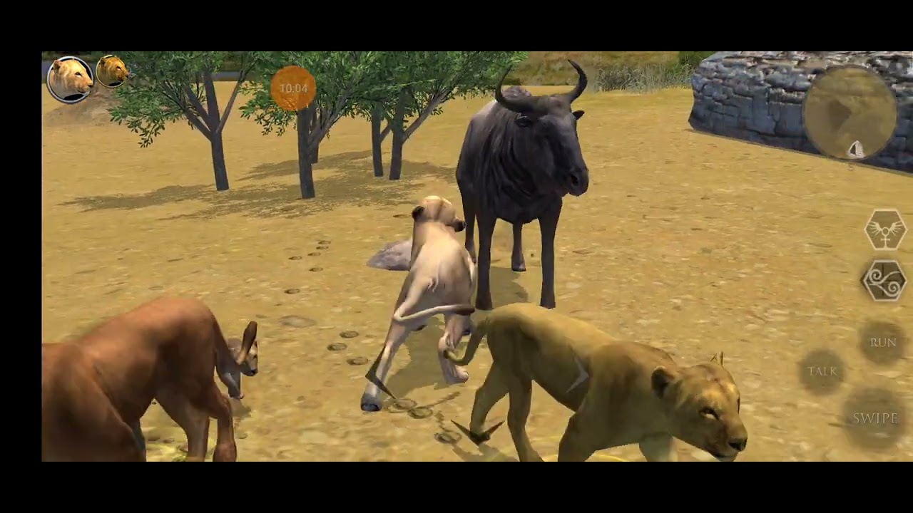 A path through a familiar place.|ultimate lion simulator 2|ep 17 - YouTube