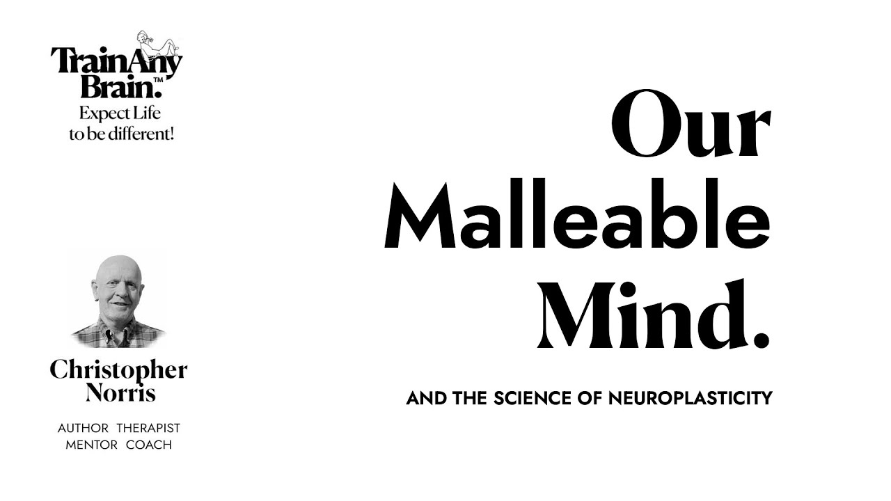 Our Malleable Mind - YouTube