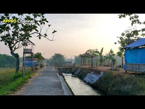 Sejuk dan Indahnya Alam di Pedesaan Jawa timur pagi hari - YouTube