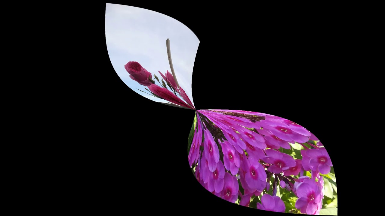 Ziedi, augi - iedvesma - YouTube