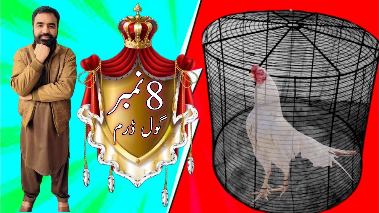 How to Make Pinjra || 8 Number Gool Drum Size Tokra || Aseel Murga ...