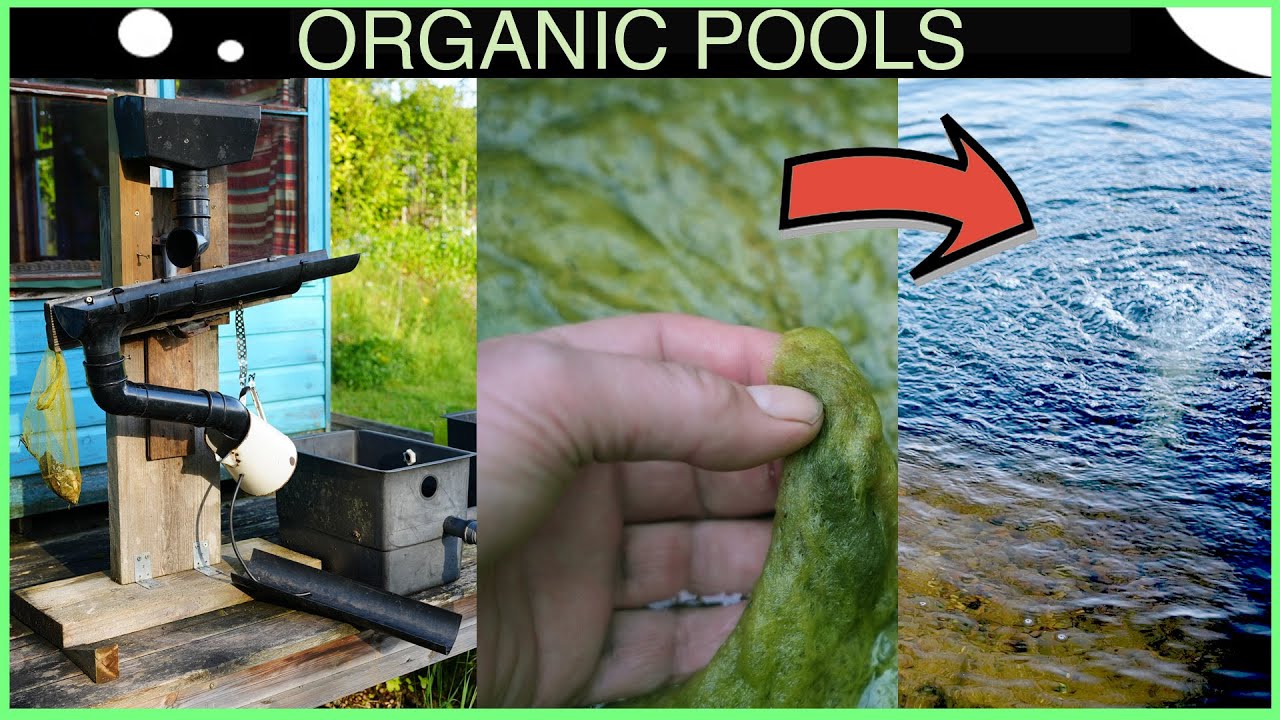 Stop Pond Algae with Rainwater Collecting Contraption - YouTube