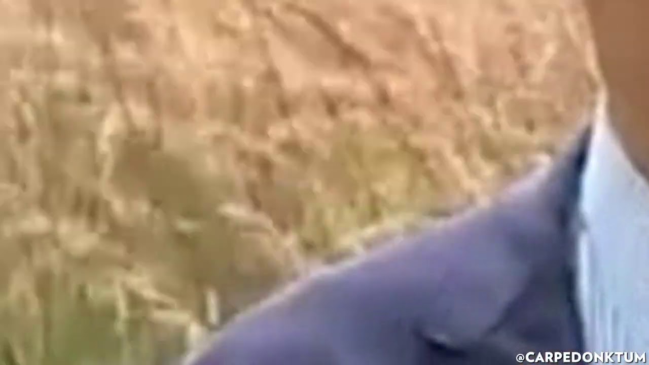 Because... Why not - YouTube