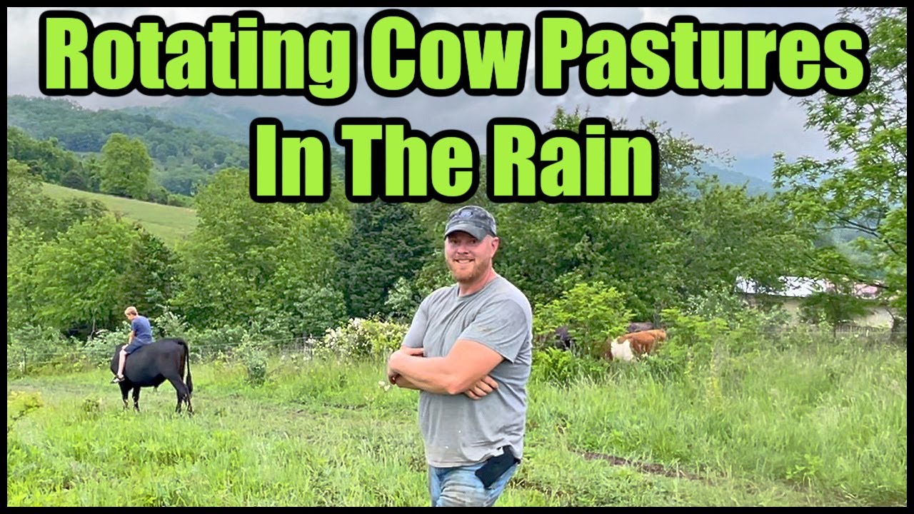 Rotating Cow Pastures In The Rain - YouTube