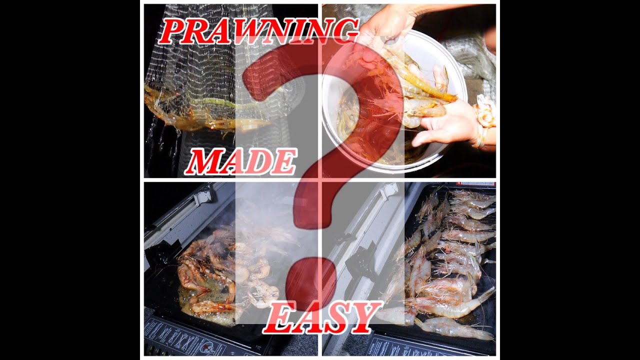 Land based PRAWNING. The TIP YOU NEED TO KNOW - YouTube