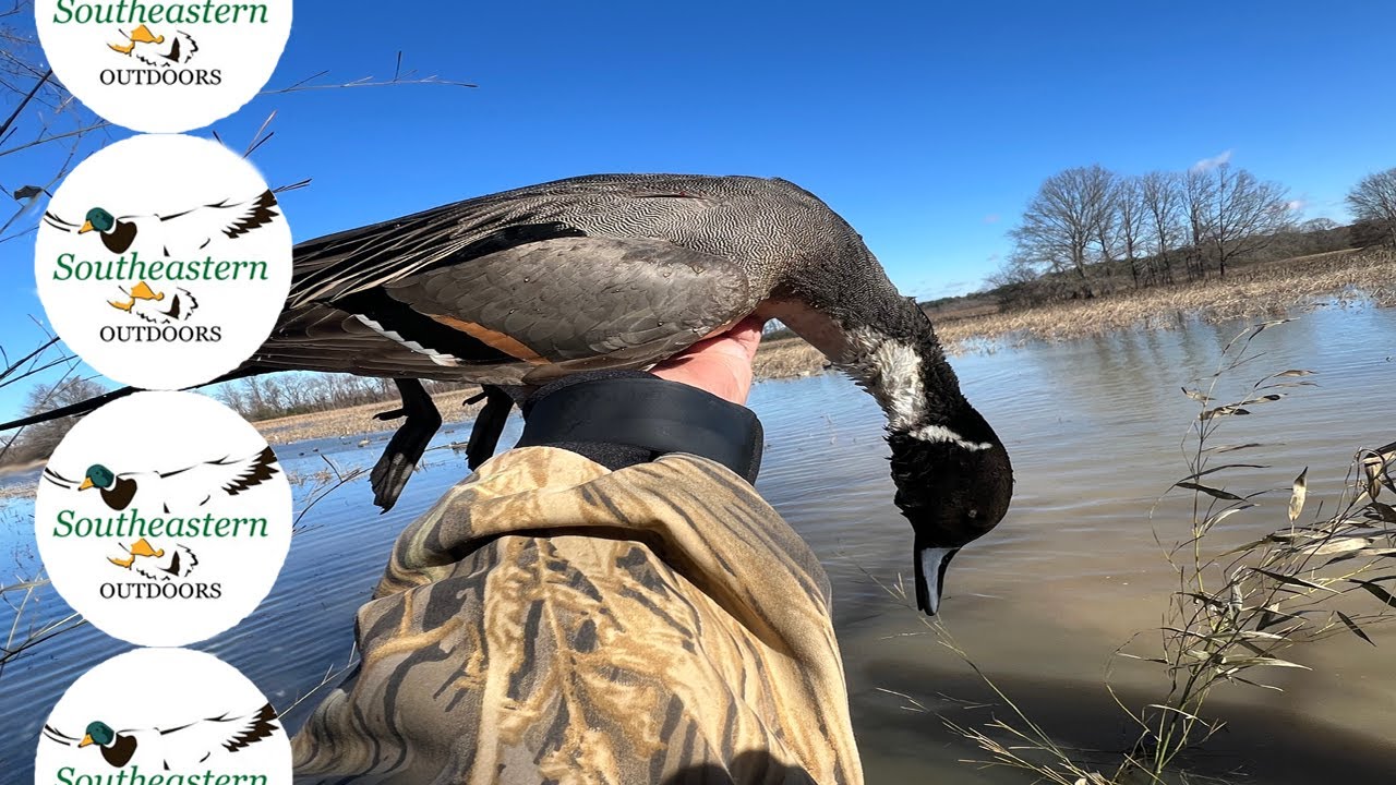 Alabama Waterfowl Hunting - 🦆 Swan Creek Wildlife Management Area 🌾 ...