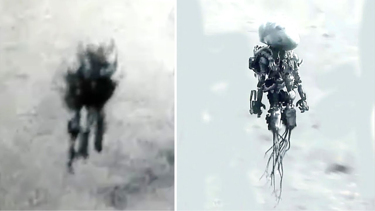 This U.S. Insider Just Responded To The Jellyfish UFO & Sent Out This ...