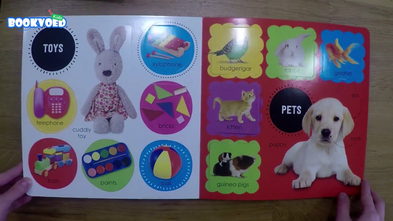 Lift the Flap: First 100 Words - YouTube