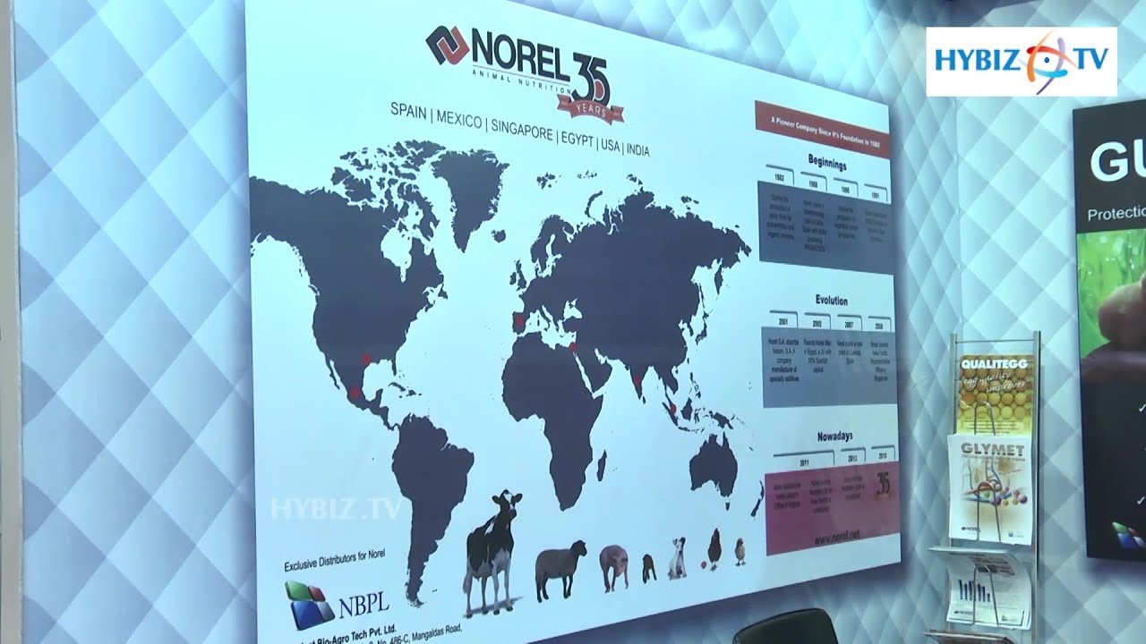 NOREL ANIMAL NUTRITION IPEMA 2015 - YouTube
