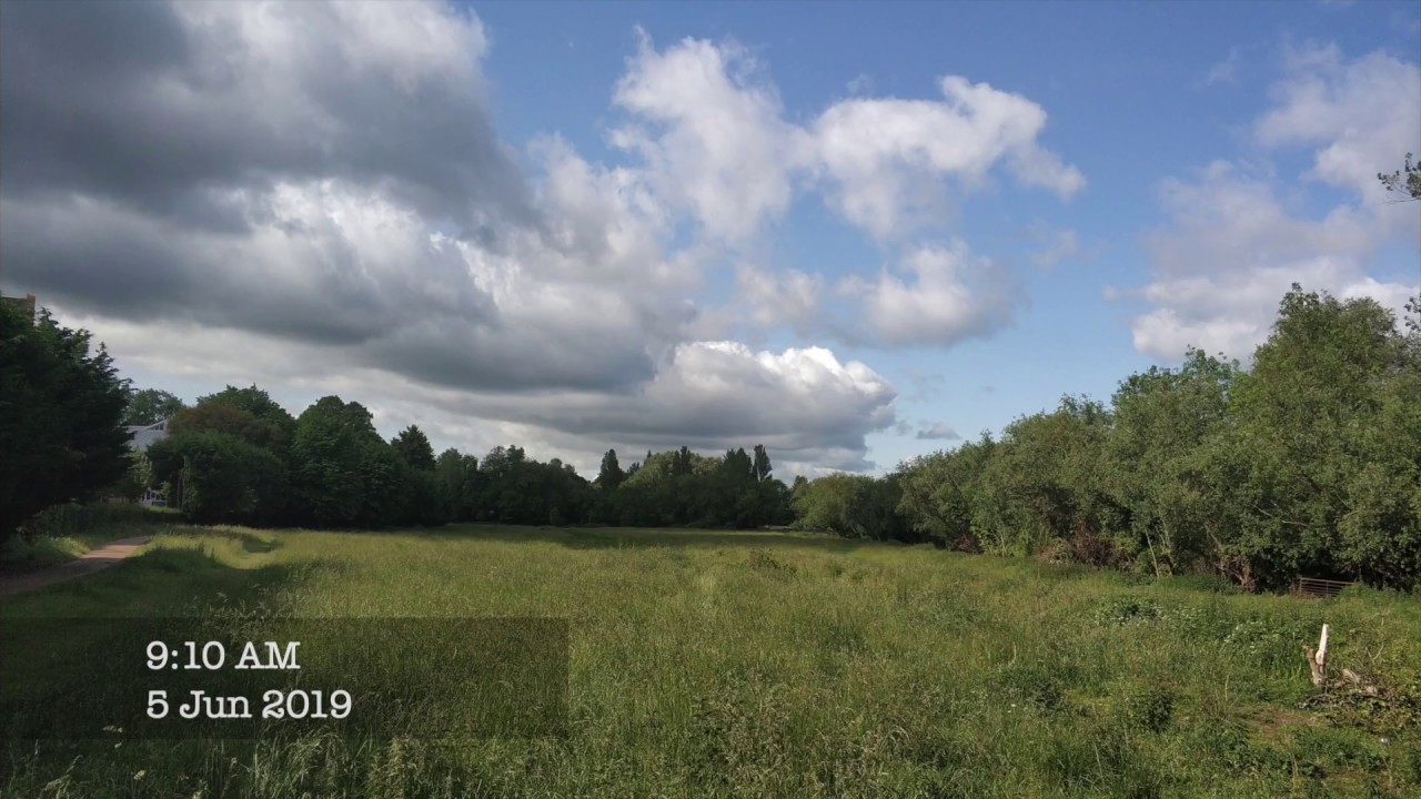 Time Lapse of Sheep's Green, Cambridge - YouTube