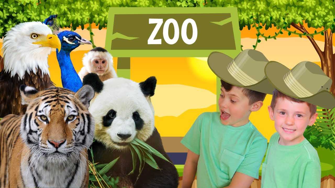 James and Tyler ZOO Adventure Virtual Safari Tour! | Learning for Kids ...