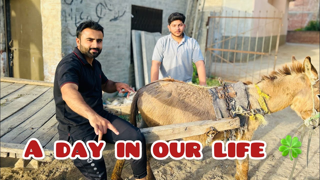 A day in our village life |random vlog |village life - YouTube