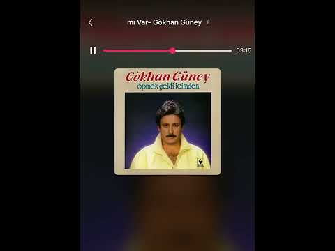 Aramızda Dağlar Mı Var - Gökhan Güney