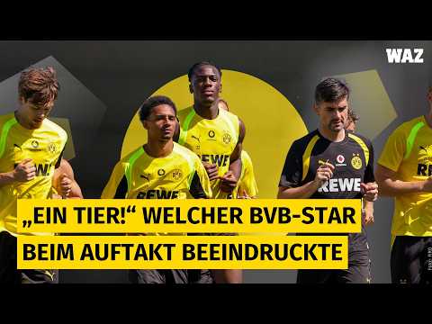 Vor dem BVB-Durchbruch? Diese Profis könnten jetzt überraschen