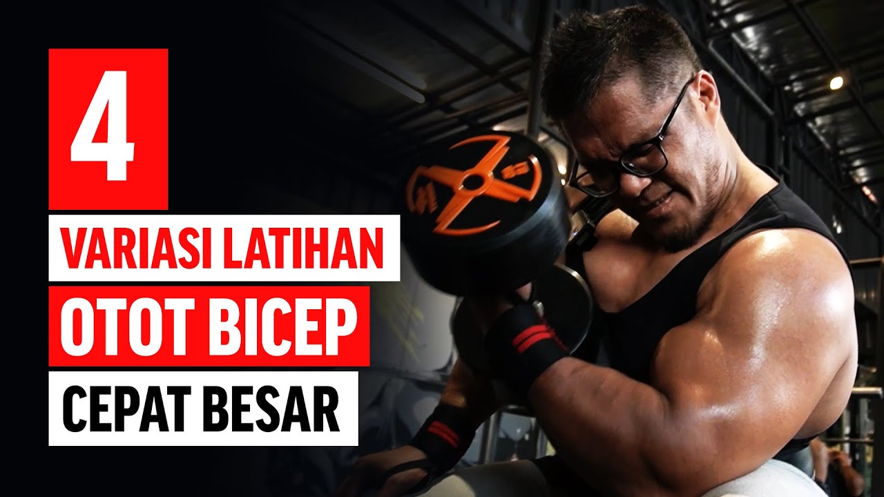 4 VARIASI GERAKAN / LATIHAN BICEP DI GYM AGAR CEPAT BESAR - YouTube
