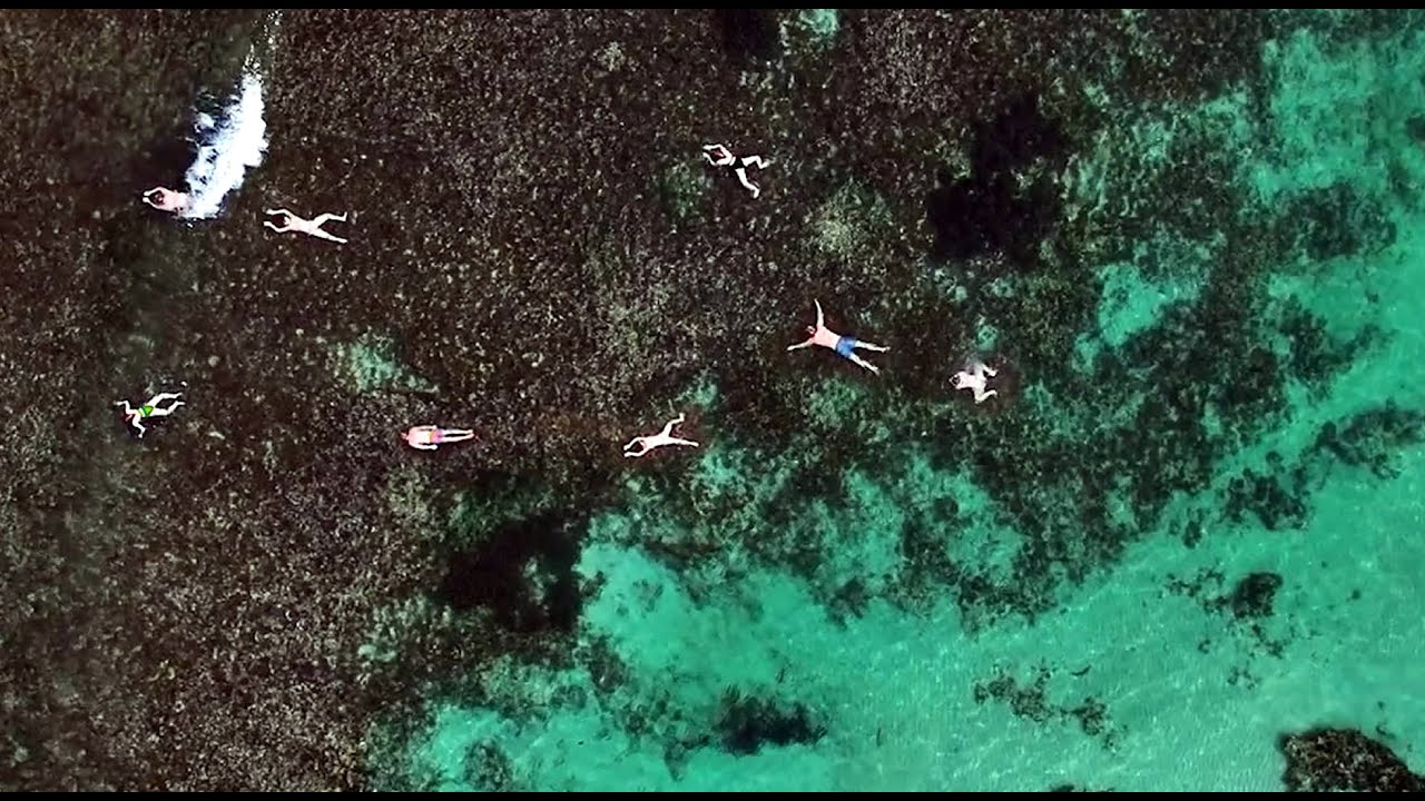 Destination WA - Snorkelling and Freediving in Mettams Pool - YouTube