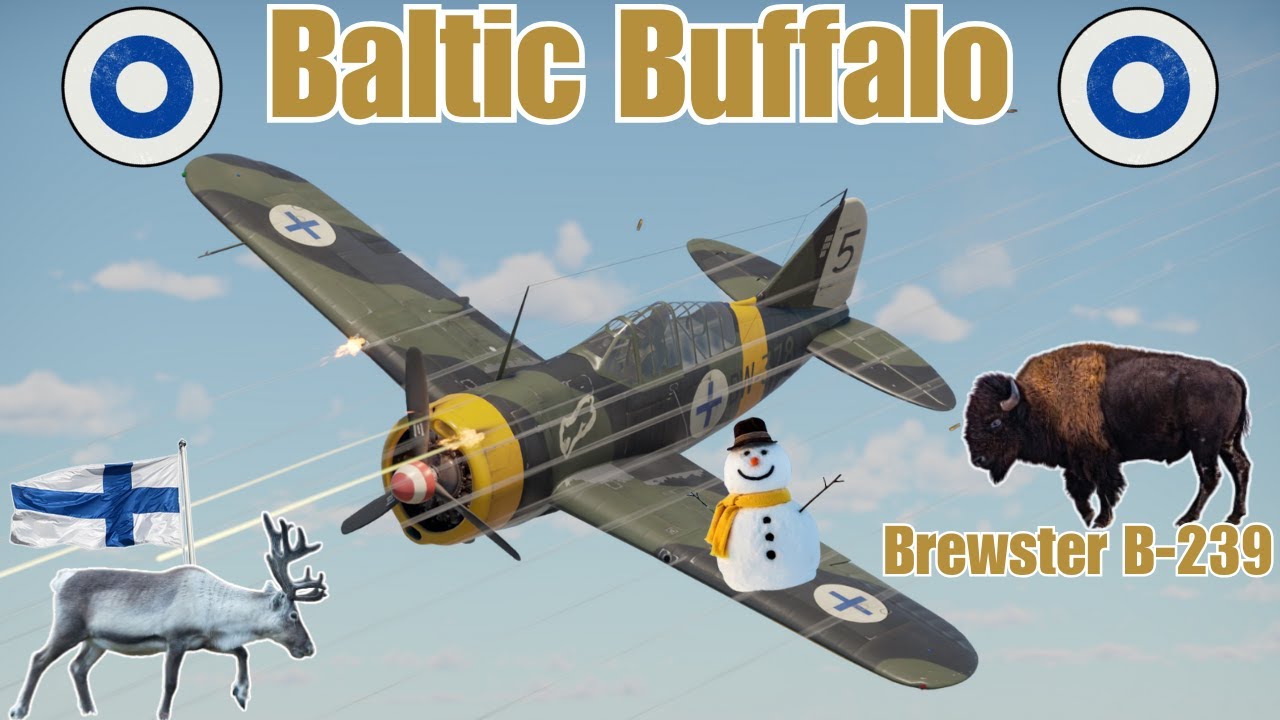 Brewster B-239 Buffalo - Baltic Buffalo - YouTube