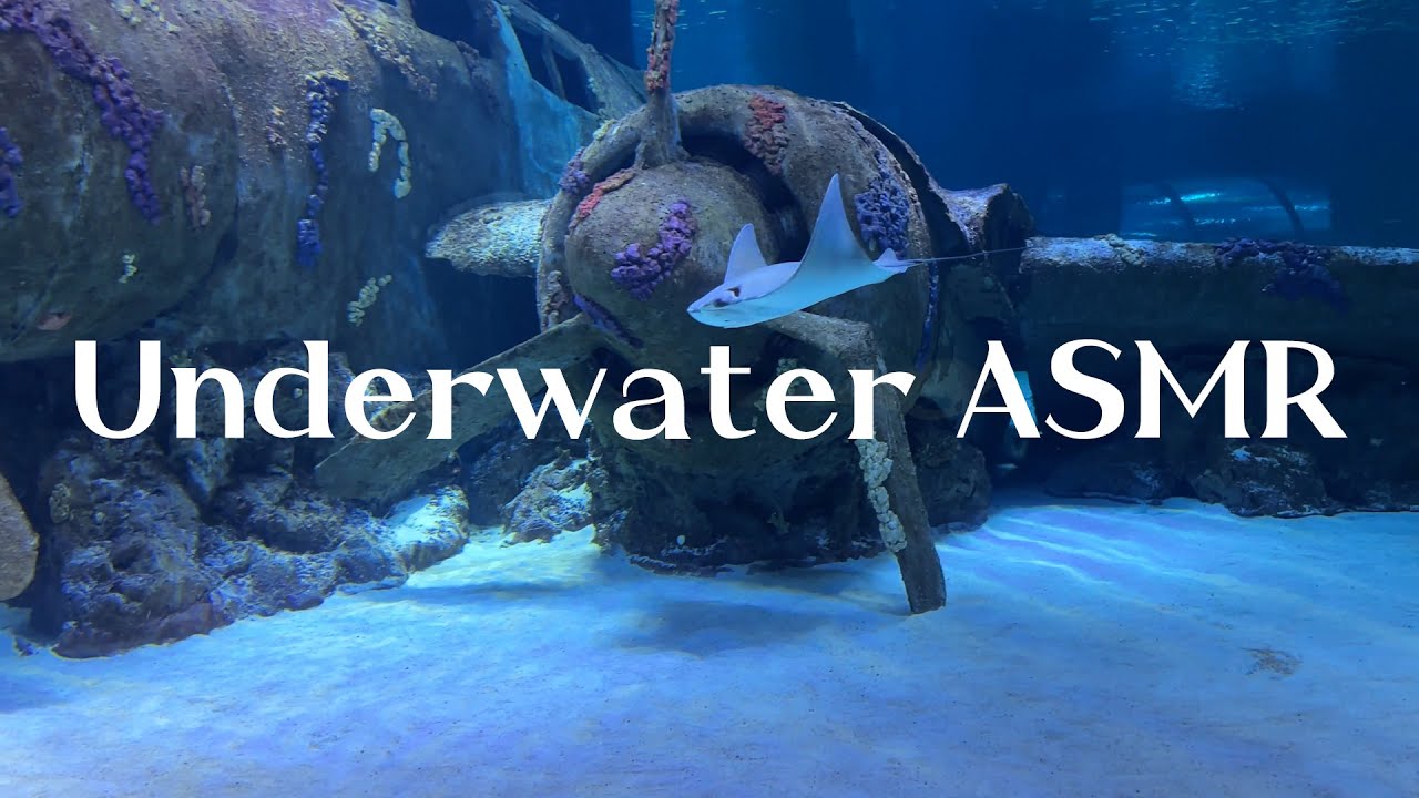 몽환적인 심해, 바다 속, 수면 음악 ASMR｜Underwater, Deep Ocean Sound - YouTube