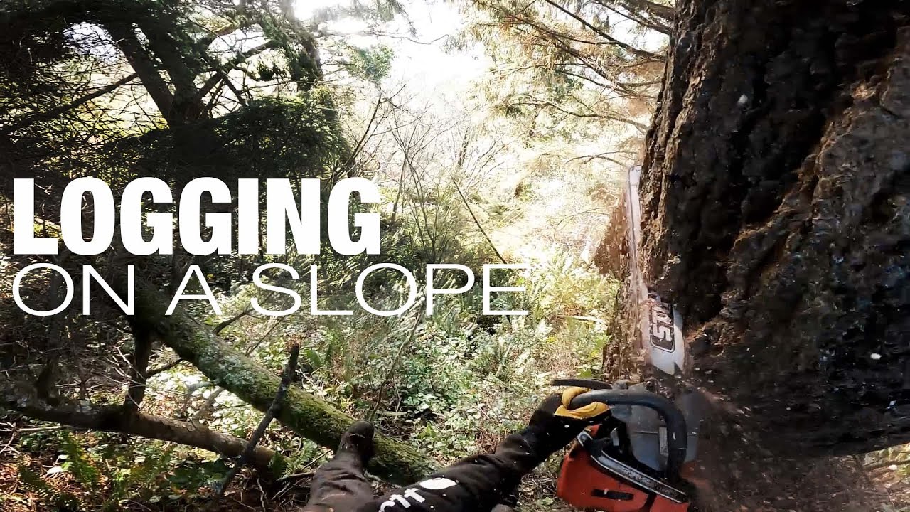Dangerous Logging on a Slope Part 1 - YouTube