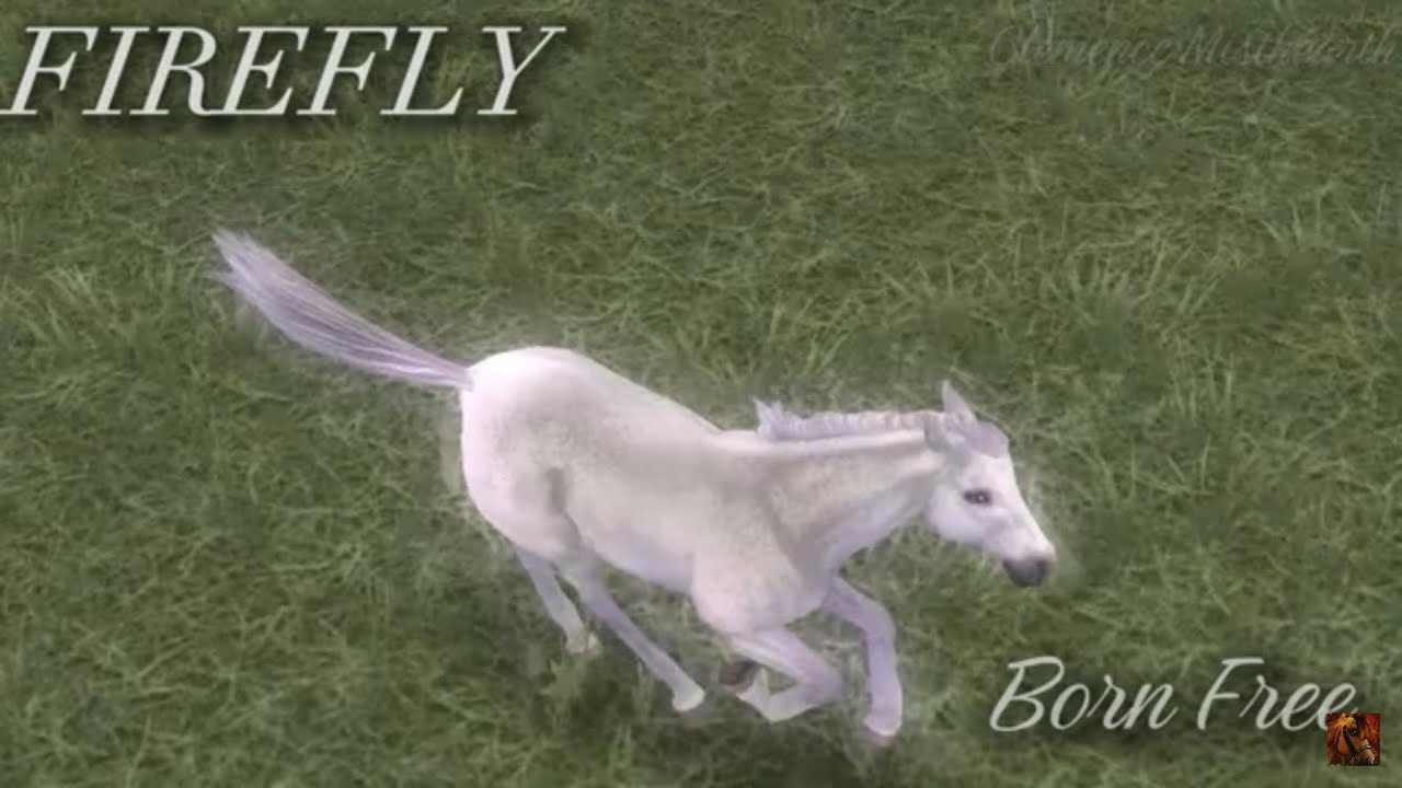 FIREFLY - Born Wild || SSO MOVIE - SPOILER - YouTube