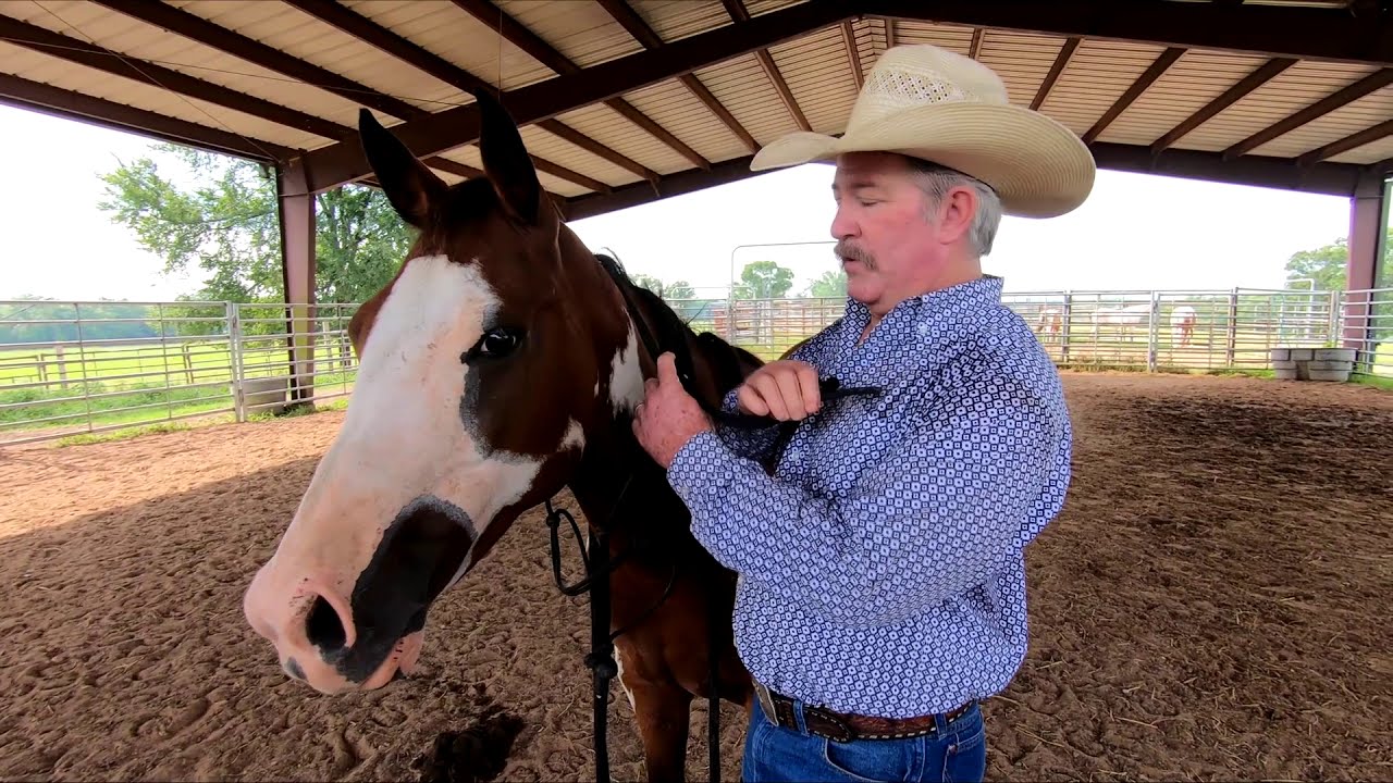 How To Use And Correctly Put The Rope Halter On Your Horse. - YouTube