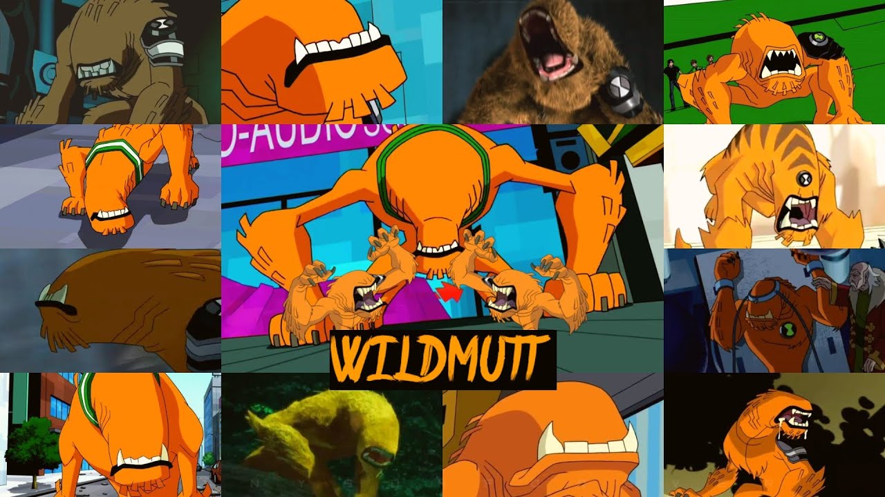 All wildmutt transformations in all Ben 10 series - YouTube