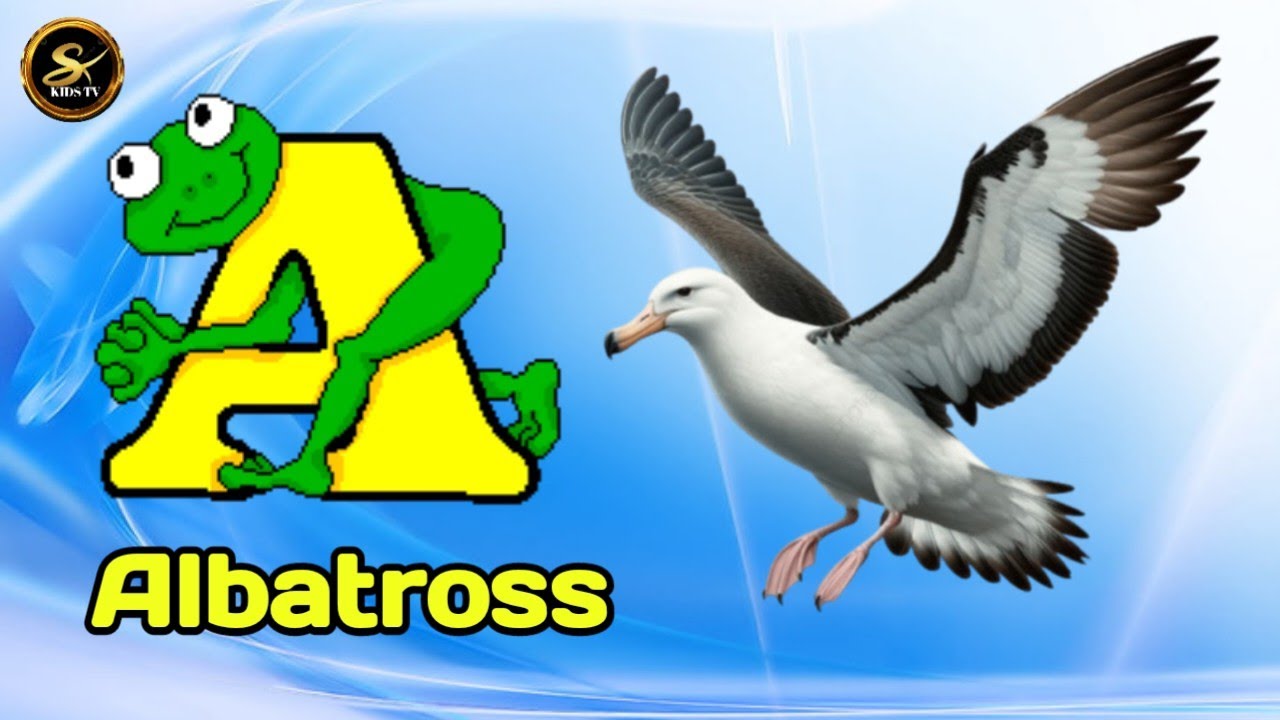 Learn ABCD with Birds | Fun Alphabet Song for Kids | Educational Video ...