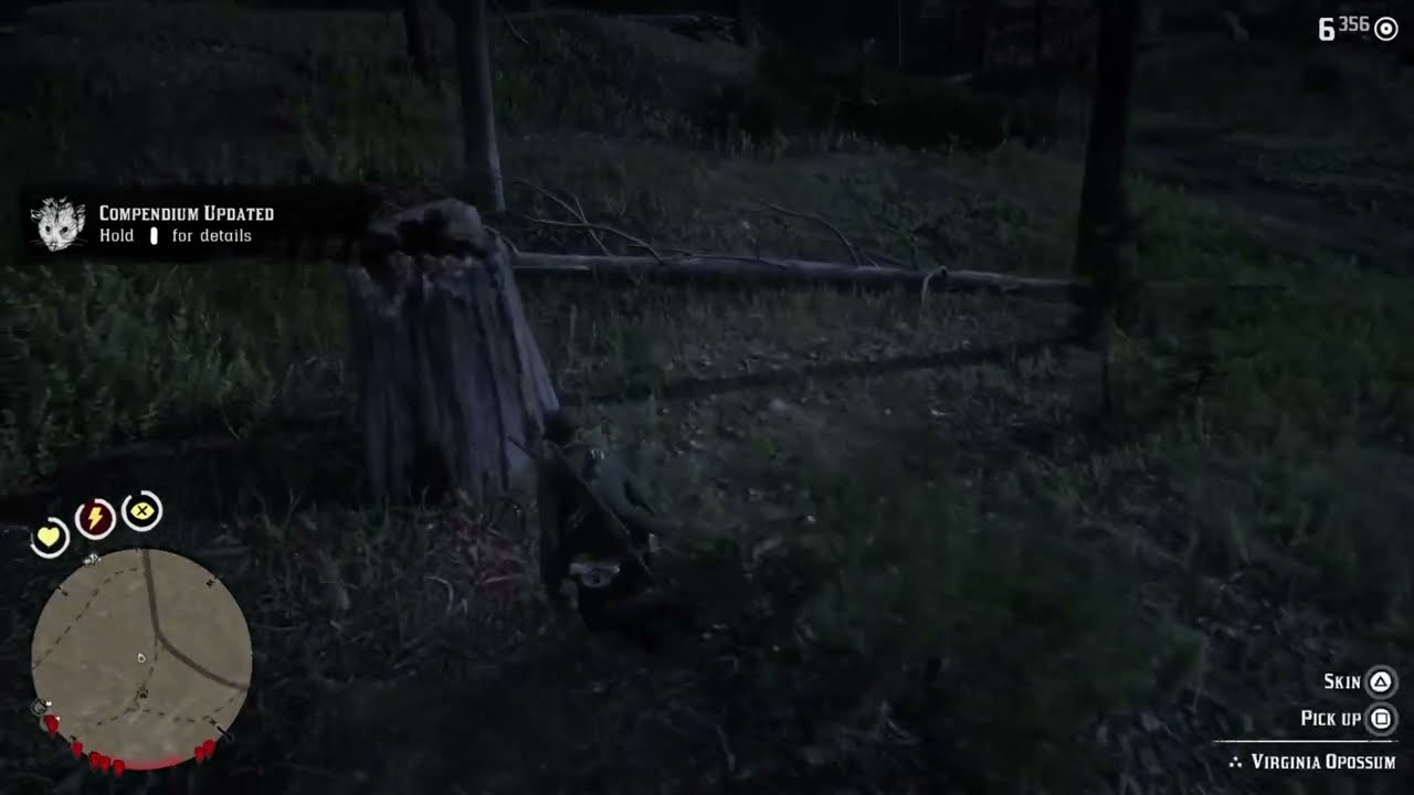 Red Dead Redemption 2 - Master Hunter 9 challenge, Opossum location ...