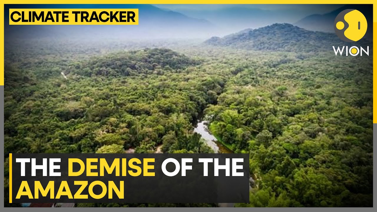 The Amazon rainforest could reach a tipping point by 2050: Study | WION Climate Tracker - YouTube