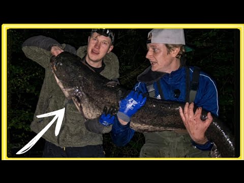 ANGELN auf WELS 2026 🎣😃. Es knallt direkt DOPPELT 😵