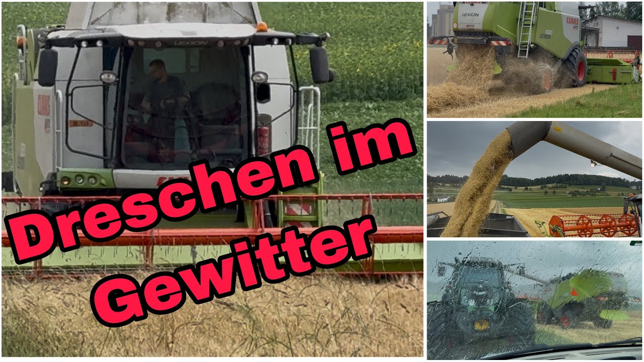 Braugerste, die Ernte - YouTube