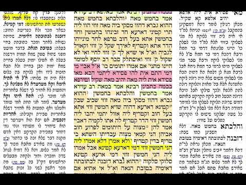 כתובות צב דף יומי מסכת כתובות דף צב Daf yomi Ketubot daf 92 להצלחת שהם נבון - YouTube